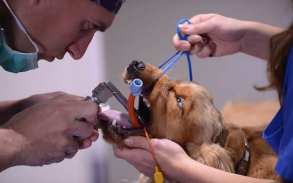 Galerie photos - Clinique Ric et Rac